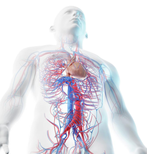 Alpine Laser – Precision Laser Workstations for Medical Manufacturing